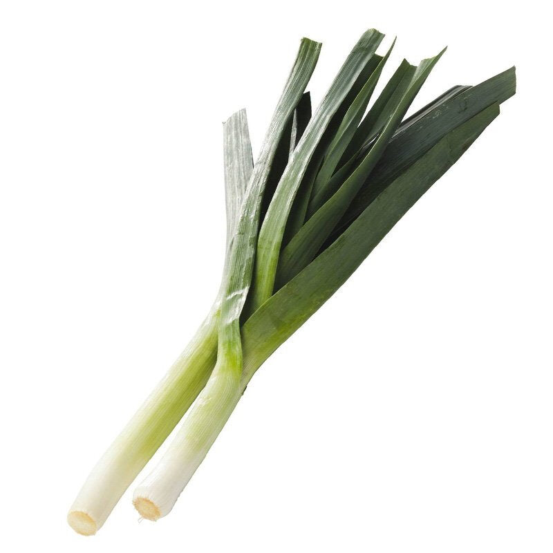 Leek 1 piece - TOKOPOINT.COM
