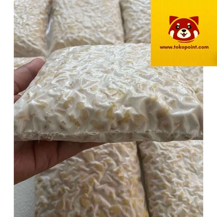 Fresh Tempeh Indonesian Tempe 400g - TOKOPOINT.COM