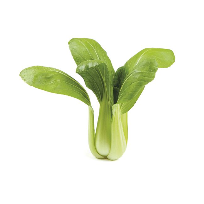 Shanghai Pak Choi 500g+/- - TOKOPOINT.COM